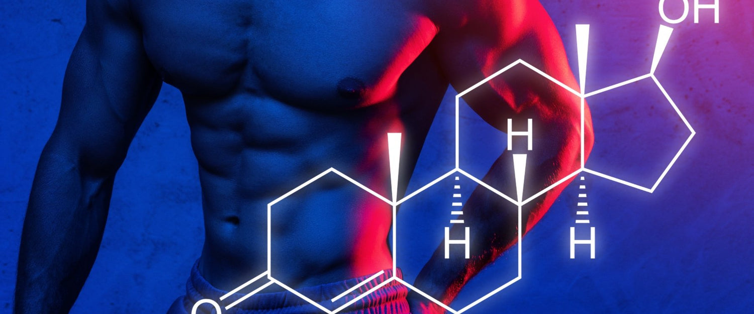 Testosterone 101 - What Is It?