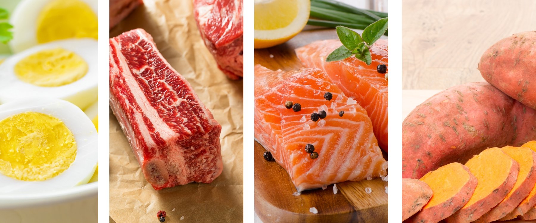 the-4-best-nutrient-dense-foods-for-your-diet-392983.jpg?v=1676595989