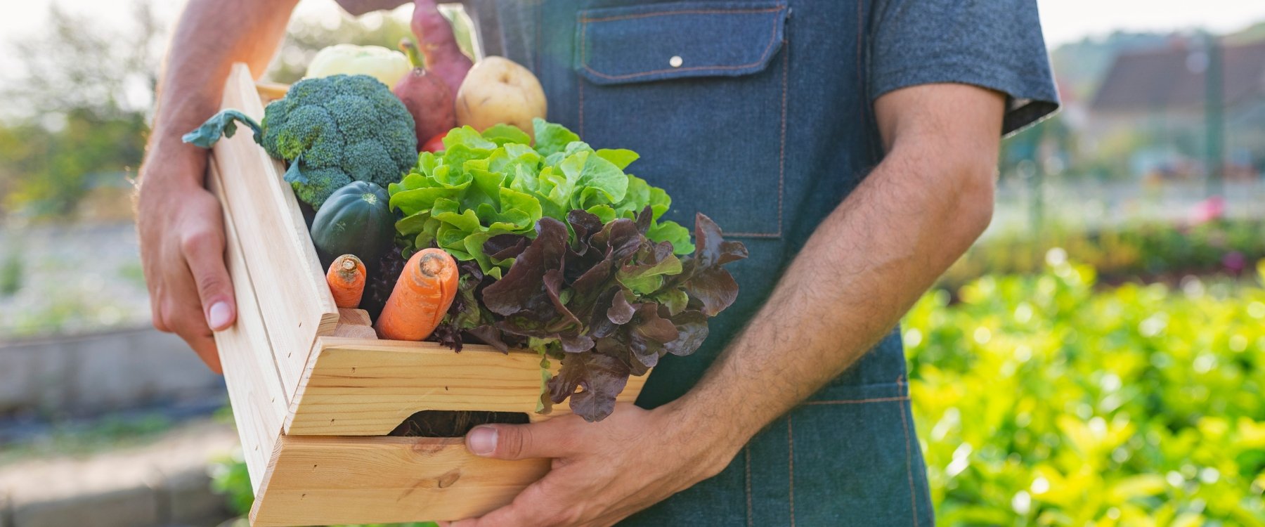 The Power Plate: Key Nutritional Needs and Best Foods for Men Over 40