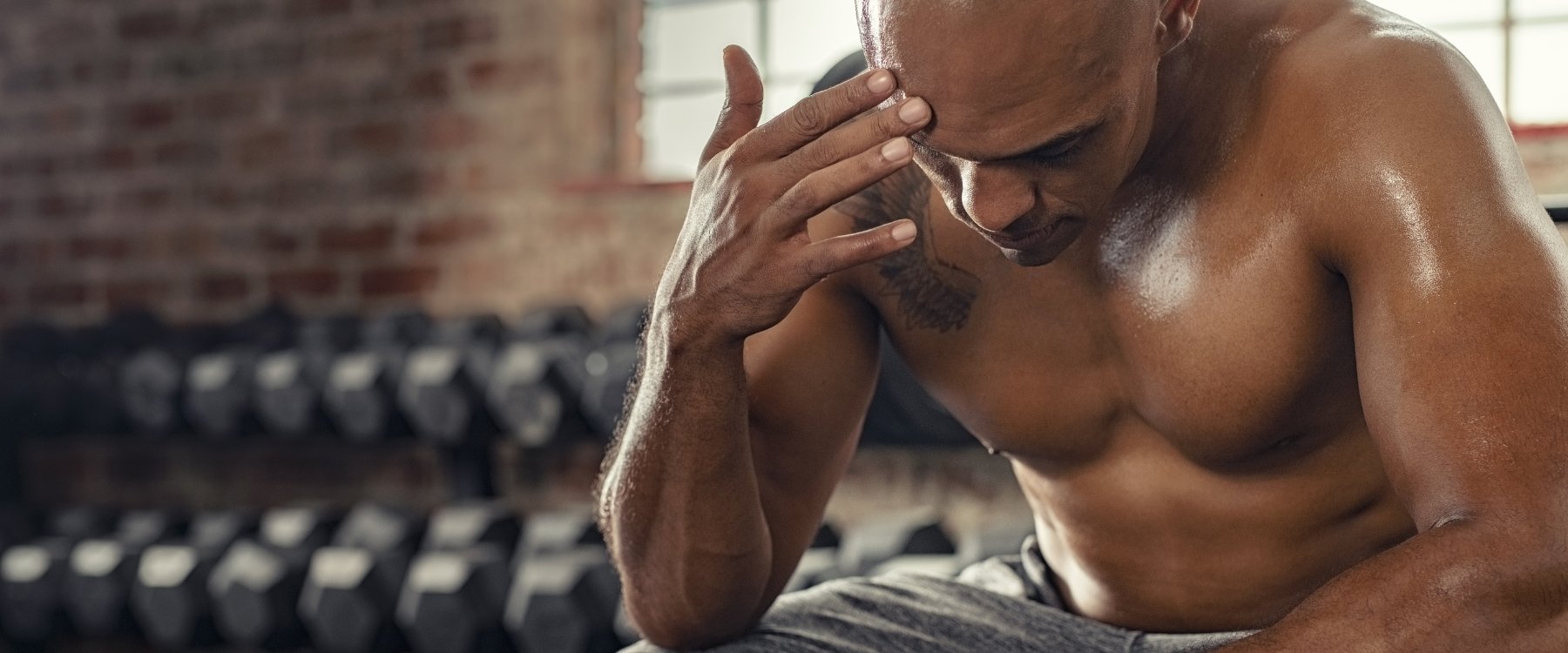 Where Does Lost Fat Go?